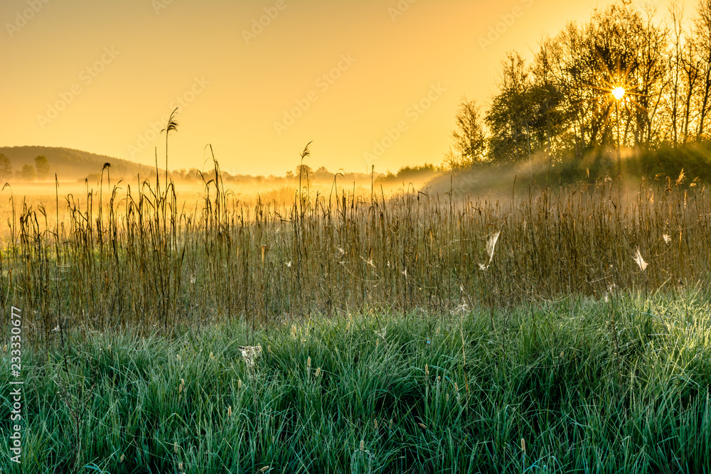 Beautiful Farm Scenery