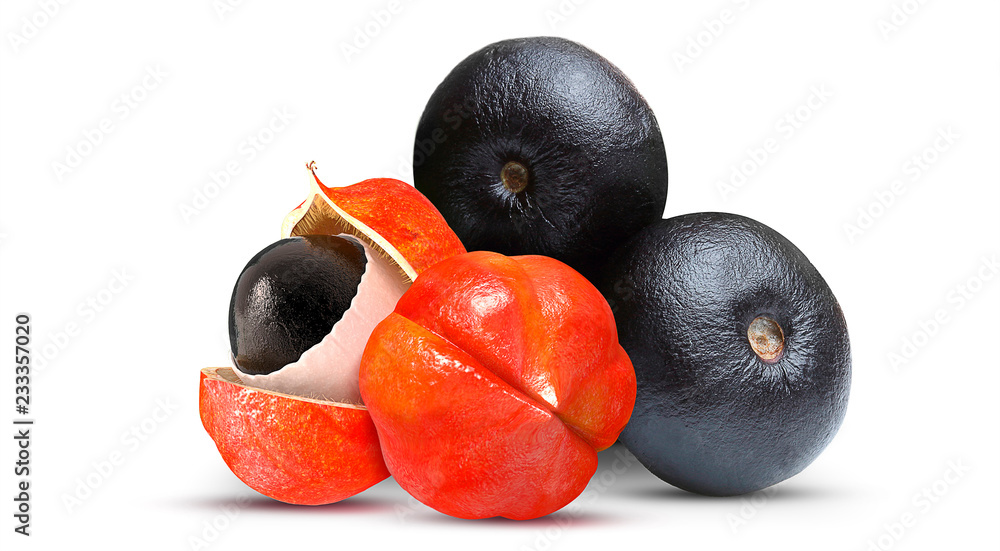 Foto de Acai and Guarana Fruit do Stock | Adobe Stock