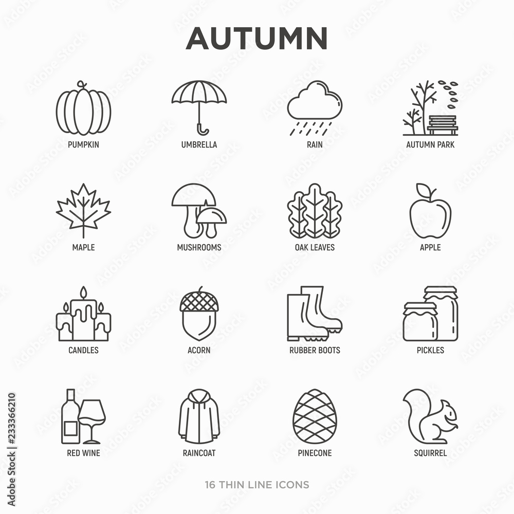 Autumn thin line icons set: maple, mushrooms, oak leaves, apple ...