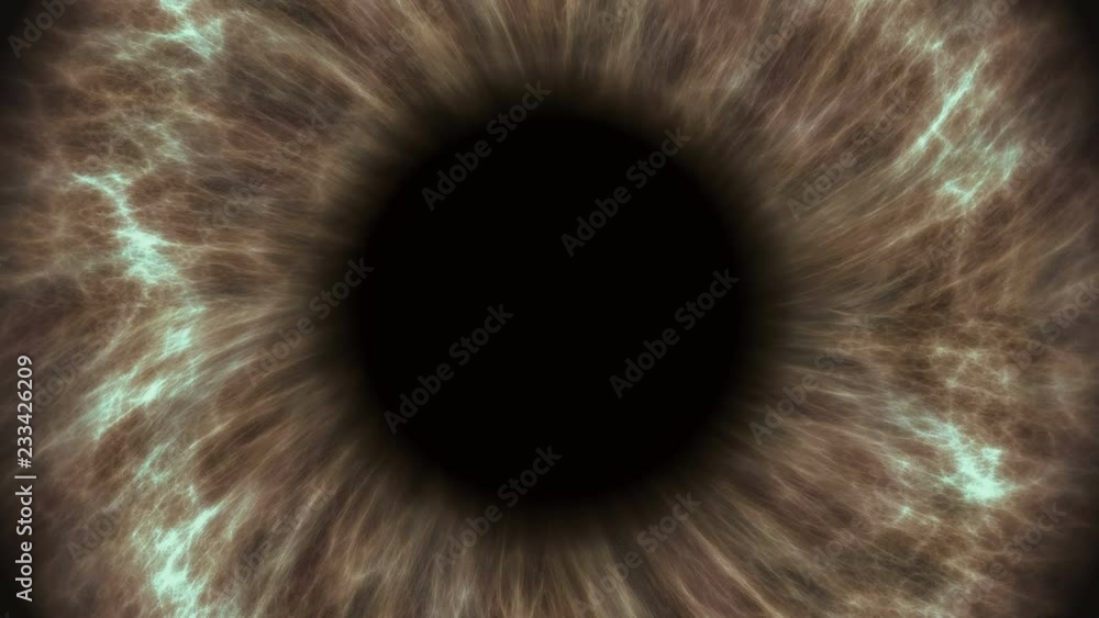 Brown human eye dilating and contracting. Very detailed extreme close ...
