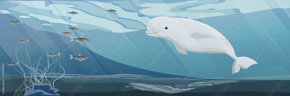 Vetor de Realistic Northern underwater landscape. Large beluga whale or ...