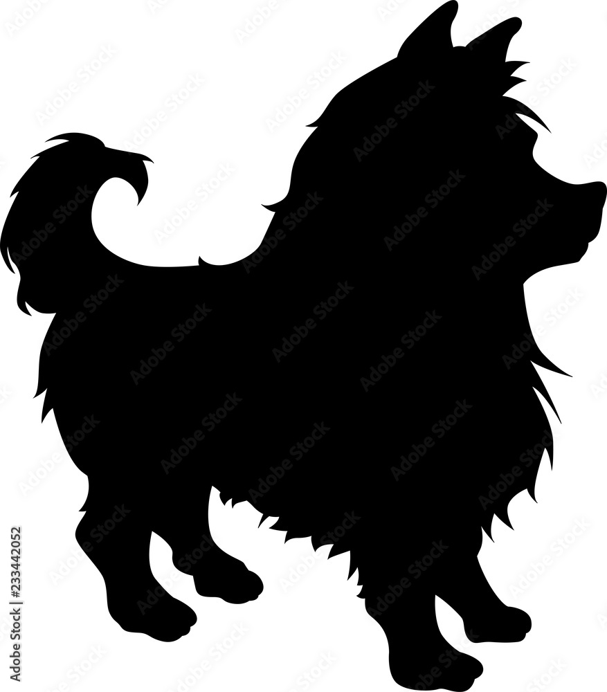 Spitz terrier vector silhouette Stock Vector | Adobe Stock