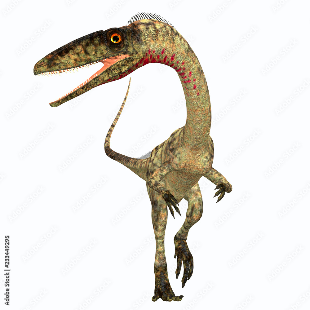Coelophysis