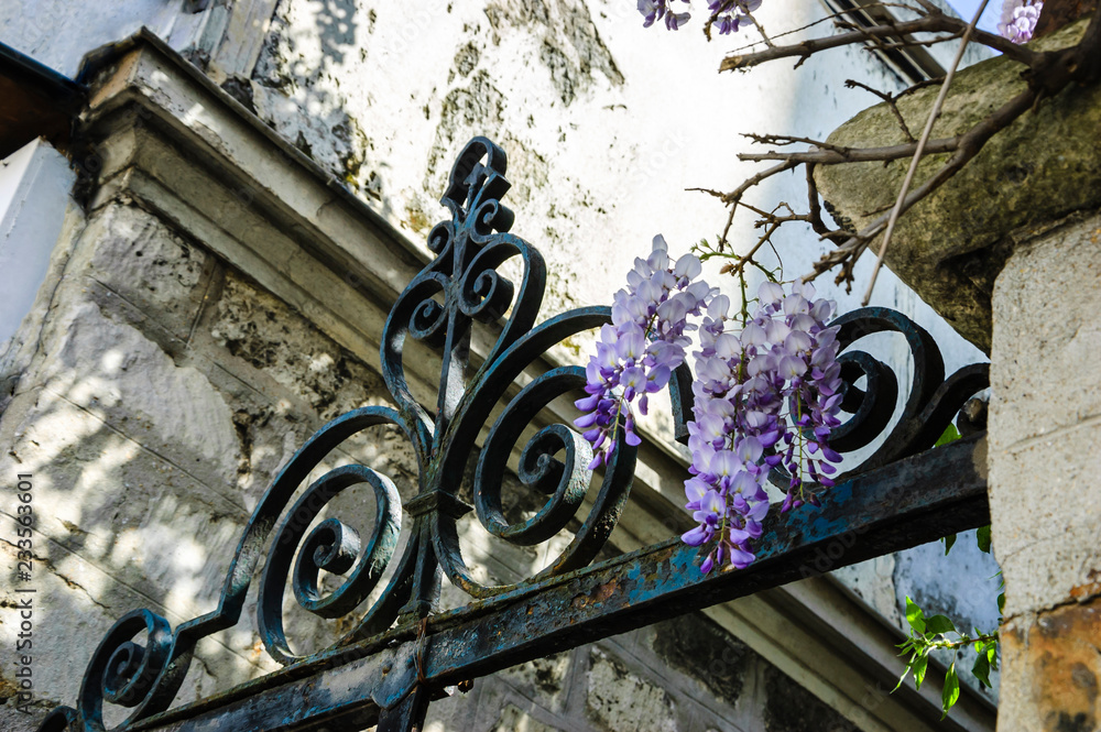 Old forging gate with ornament (entry to abandoned manor) and stone ...