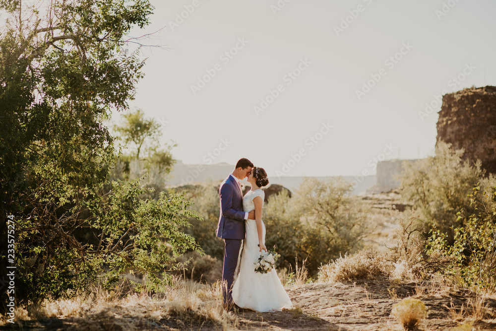 Beautiful Couple on their Wedding day in front of landscape Photos ...