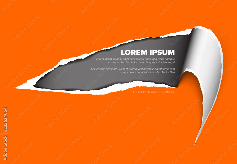 Web Banner Layout with Paper Tear Element Stock Template | Adobe Stock