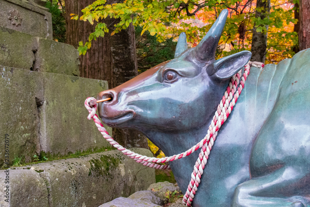 大山寺の撫で牛のアップ Nade-ushi (the rubbing cow), which is believed to help ...
