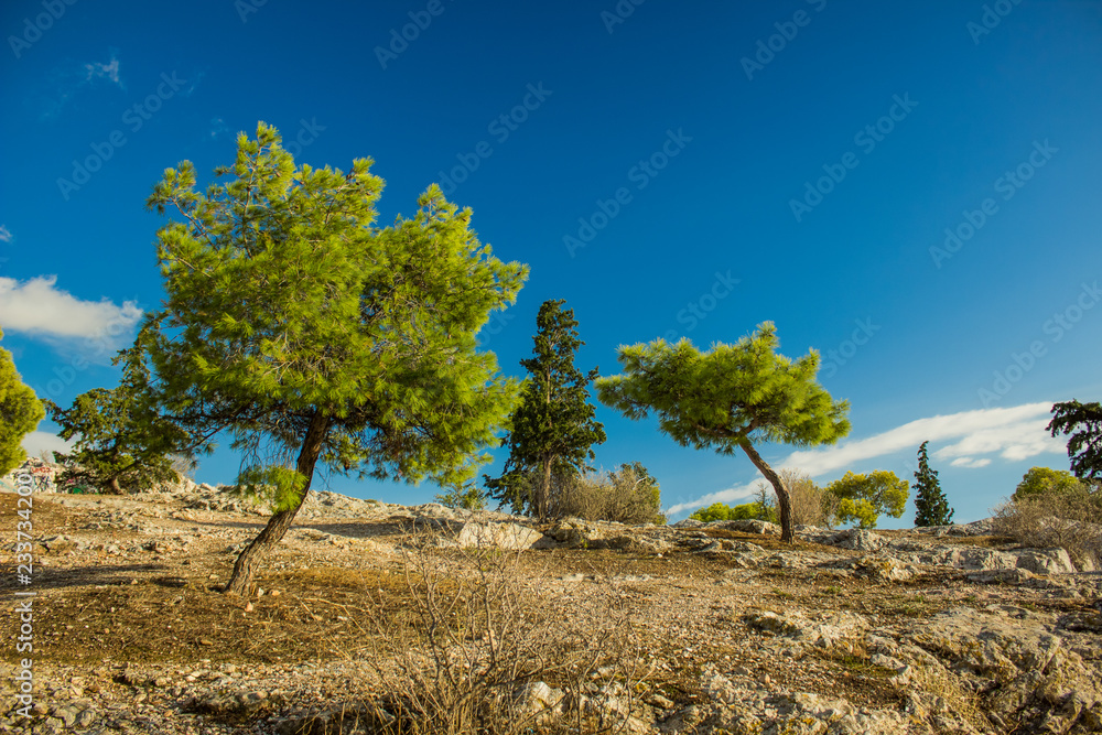 Foto de south exotic park outdoor mountain rocks nature Savannah ...