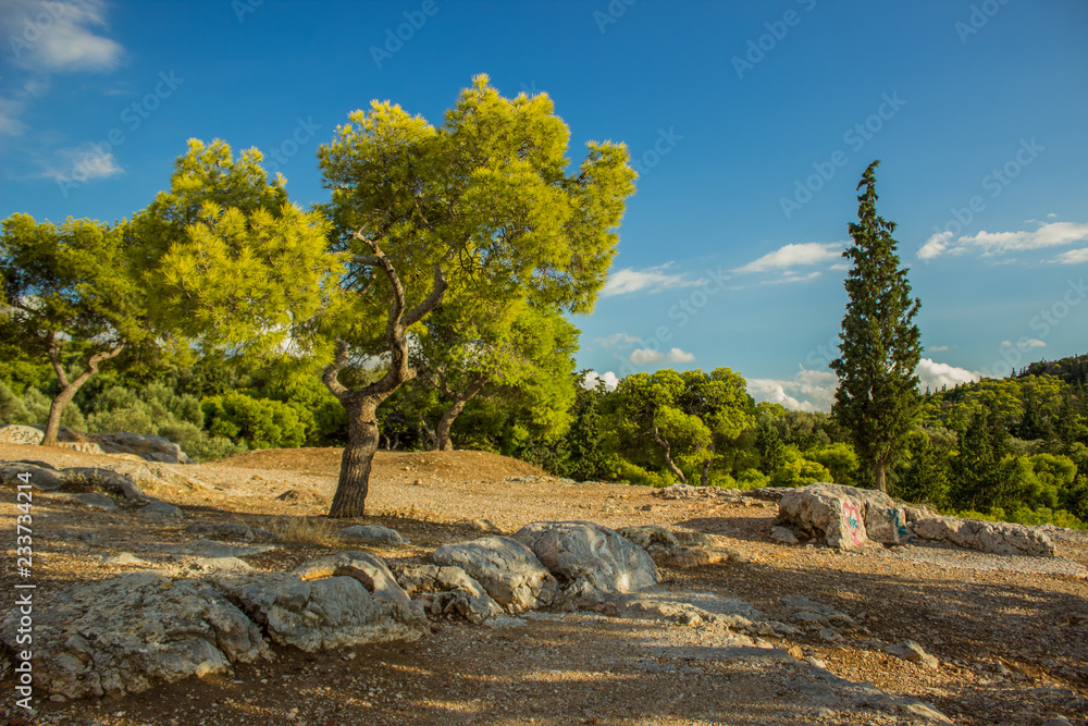 Foto de south exotic park outdoor mountain rocks nature Savannah ...