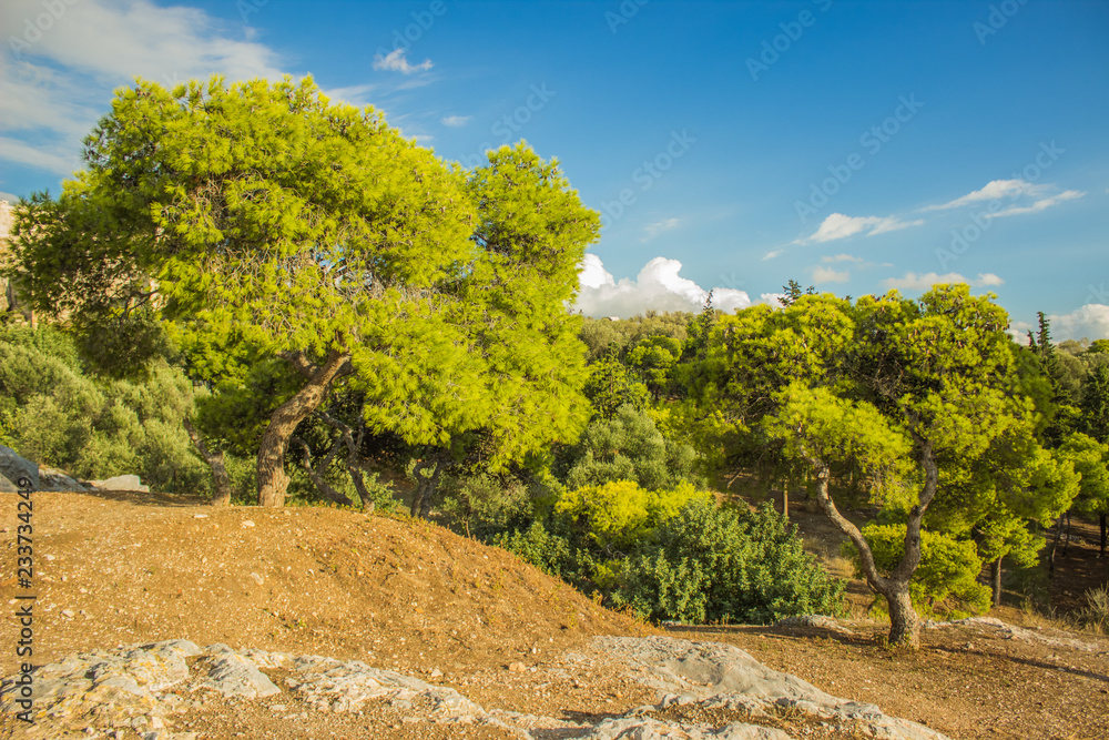 south exotic park outdoor mountain rocks nature Savannah landscape with ...