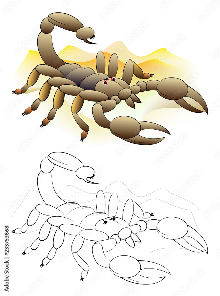 Desert Scorpion Drawing