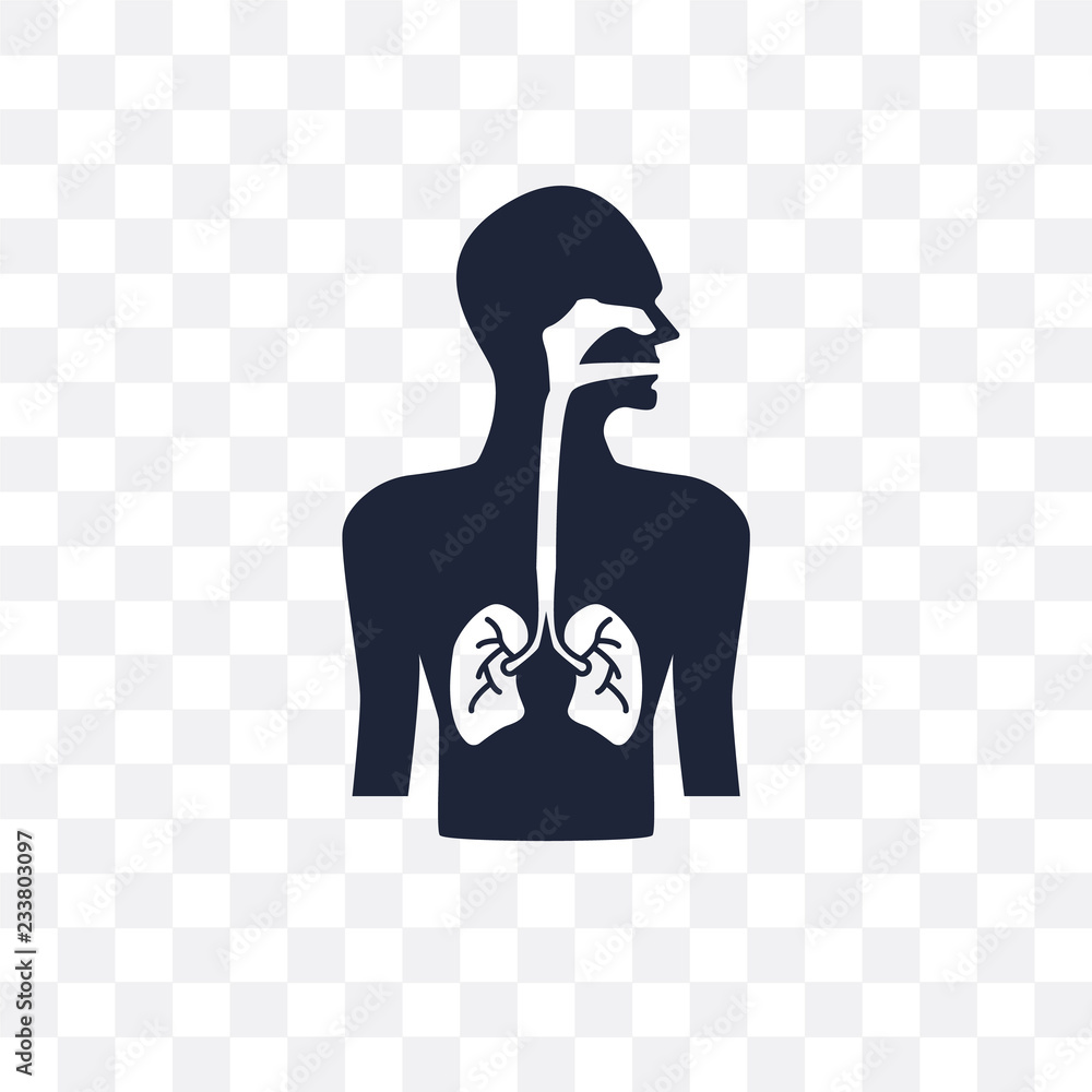 Respiratory System transparent icon. Respiratory System symbol design ...