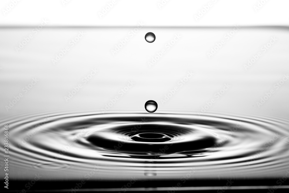 water drops Stock Photo | Adobe Stock