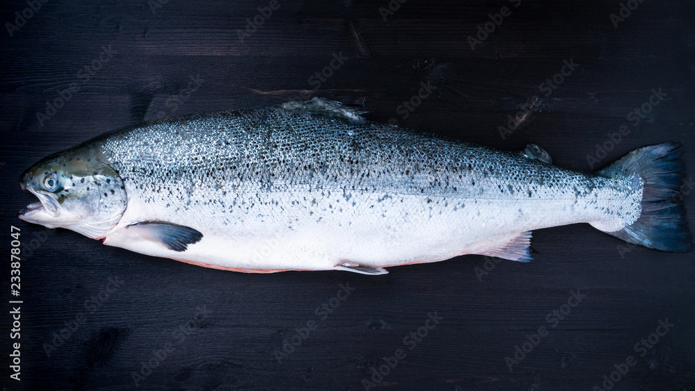 whole fresh raw big salmon fish on dark black wooden table, top view ...