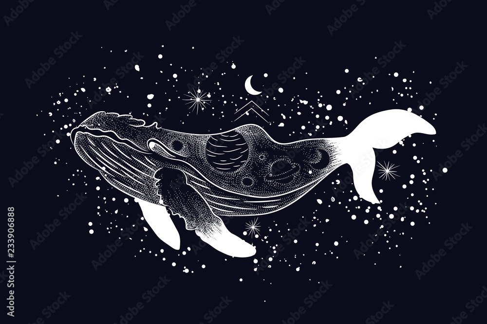 Vector illustration set of moon phases. Different stages of moonlight ...