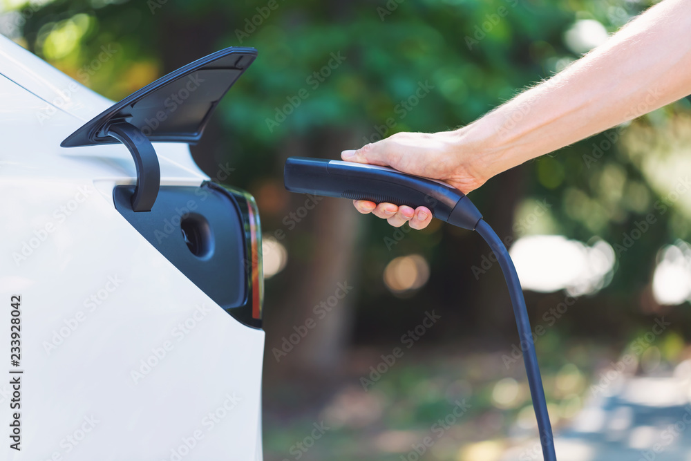 Person charging an electric vehicle with green background Stock Photo ...