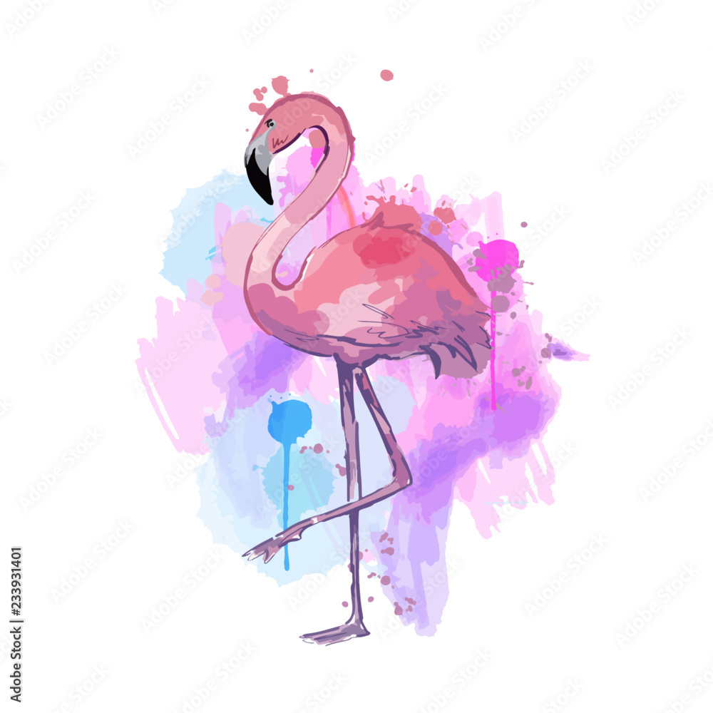 Pink watercolor flamingo. Beautiful vector illustration isolated on ...