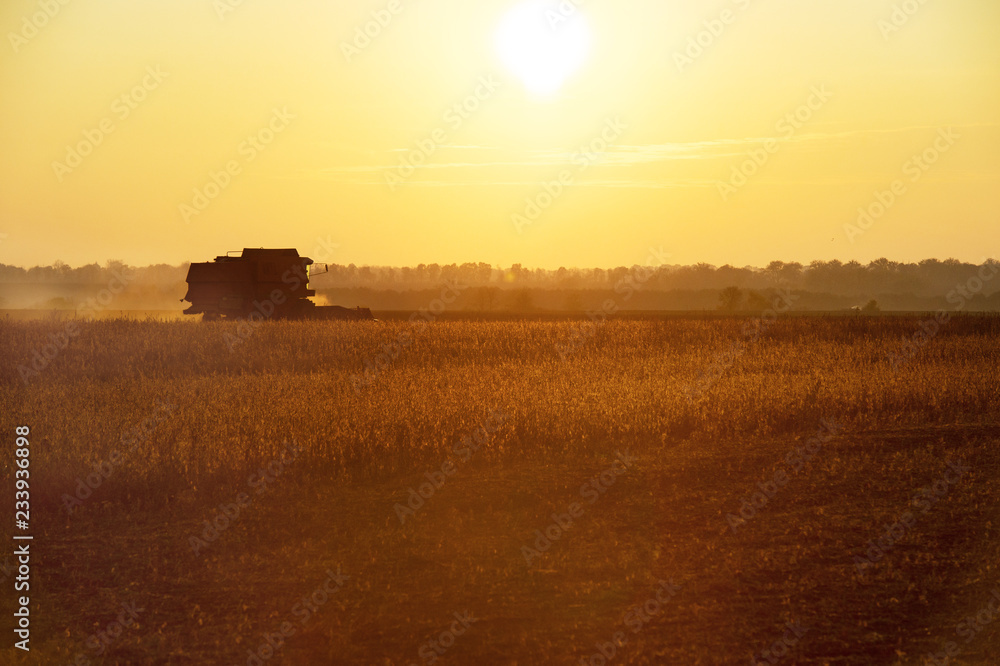 A combine creates a swirling haze of dust soybean chaff behind it, as ...