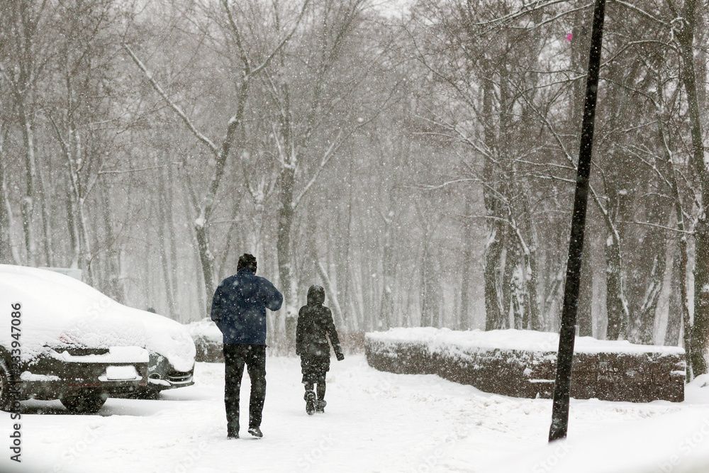 Natural Disasters Blizzards