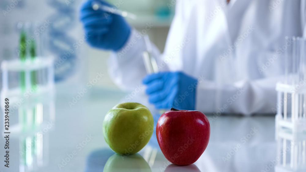Fruits lying on lab table, scientist checking food quality, nutritional ...