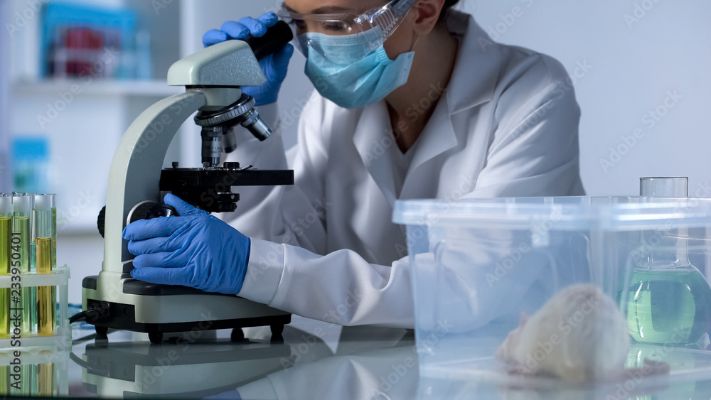 Researcher developing cancer medication in laboratory, animal testing ...