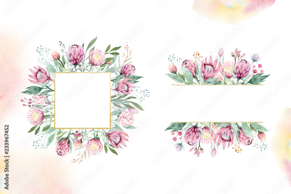 Hand drawing isolated watercolor floral frame with protea rose, leaves ...