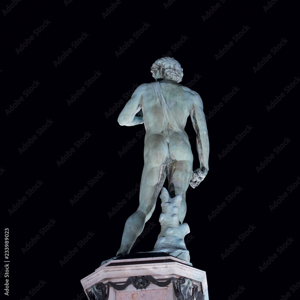 Back of the bronze copy of the David of Michelangelo at night with ...