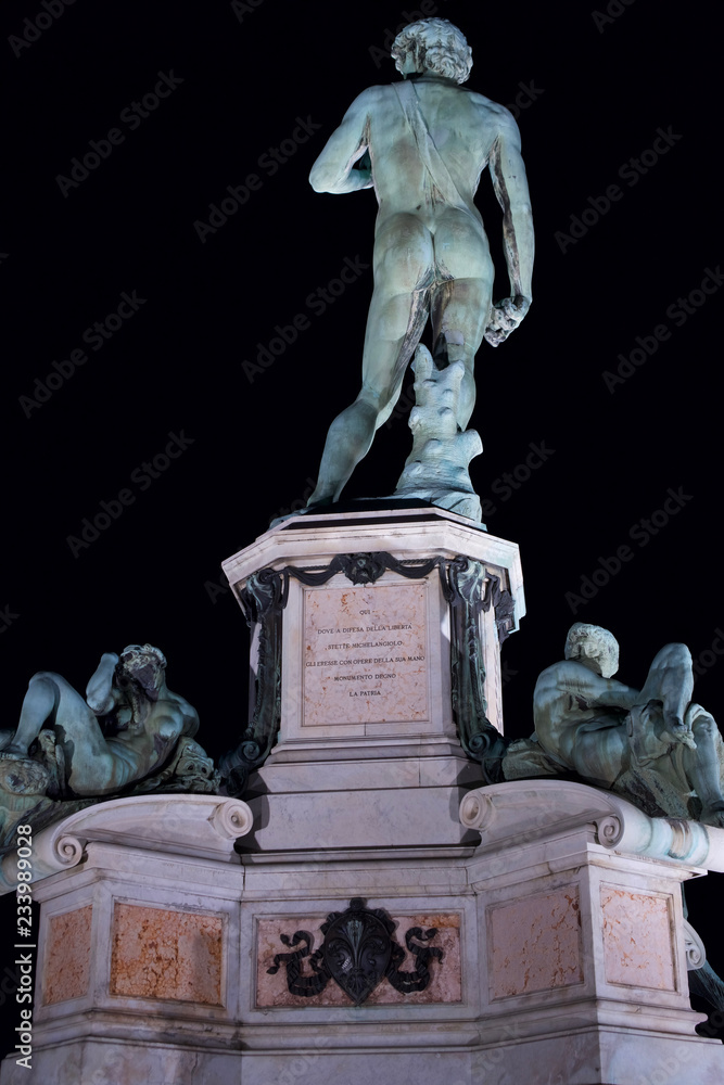 Back of the bronze copy of the David of Michelangelo at night with ...