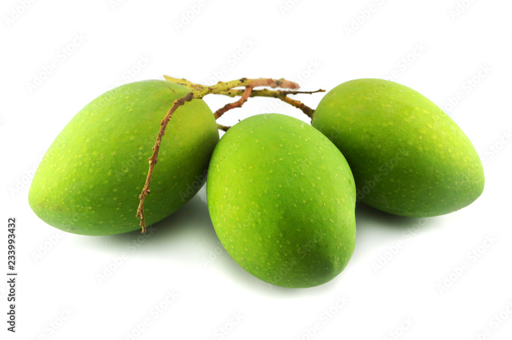 Green mango isolated / three raw mango fruit isolated on white ...
