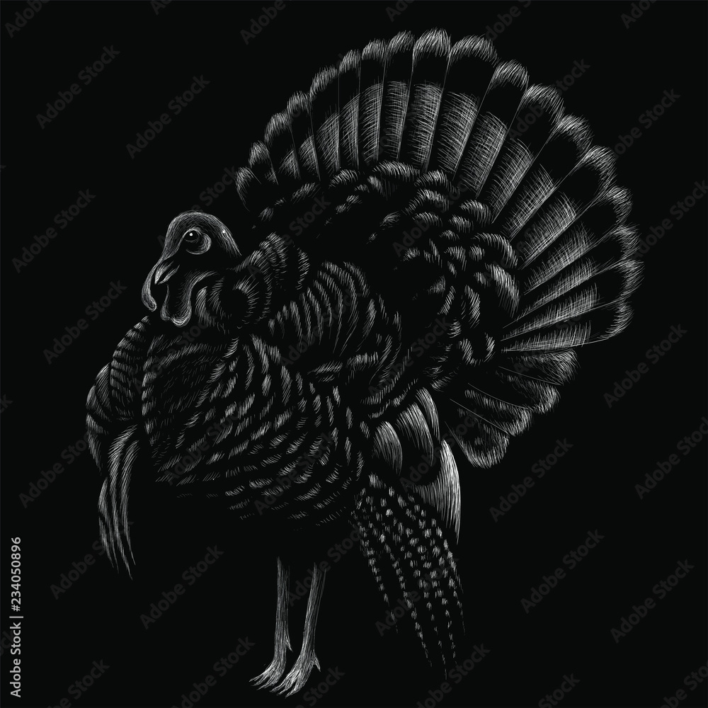 Turkey Hunting Logo