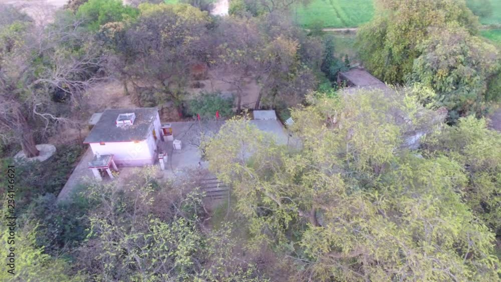 Aerial view of tree Neem and temple, evening, flying around a small ...