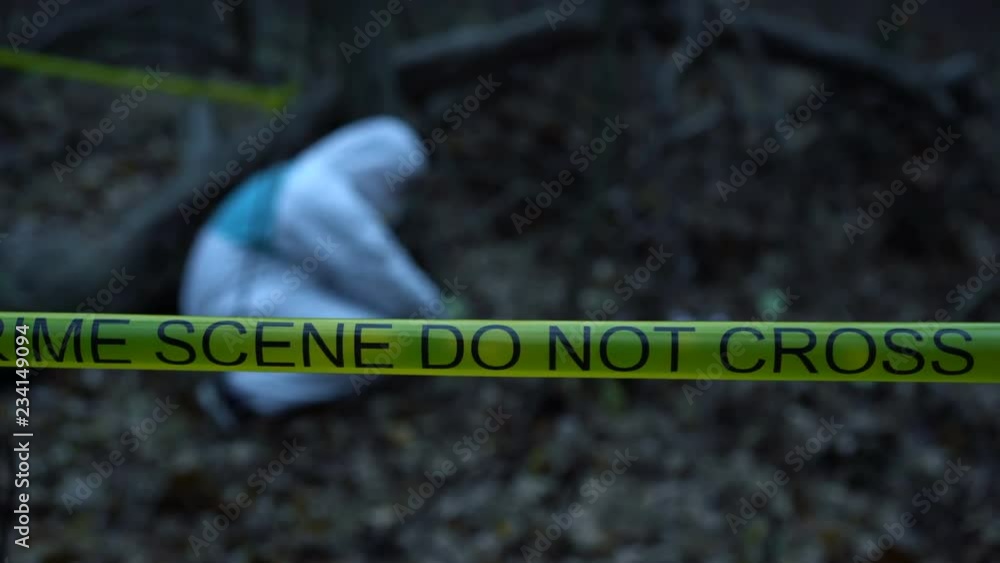 Field forensic expert working at crime scene, collecting and preserving ...