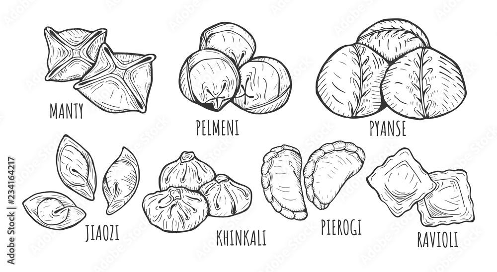 dumplings types and styles Stock Vector | Adobe Stock