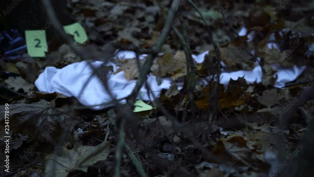 Closeup of crime scene evidence numbered by forensic experts at murder ...