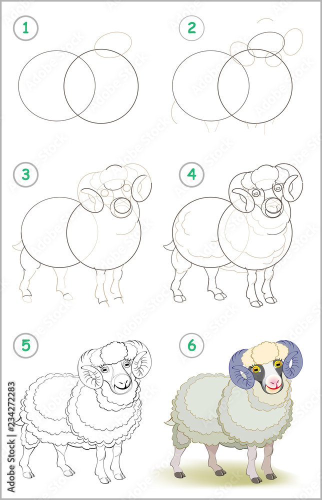 Page shows how to learn step by step to draw a cute domestic male sheep ...