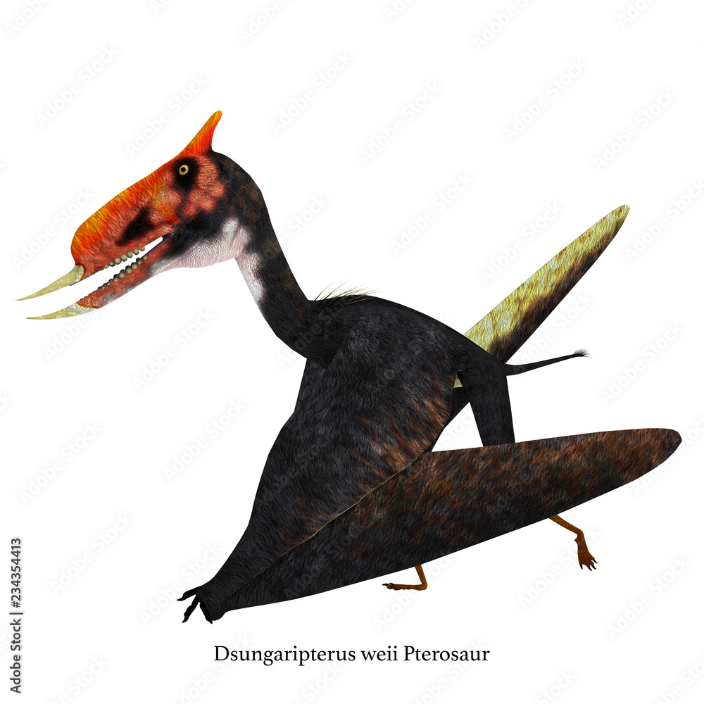 Dsungaripterus Pterosaur Walking with Font - Dsungaripterus was a ...