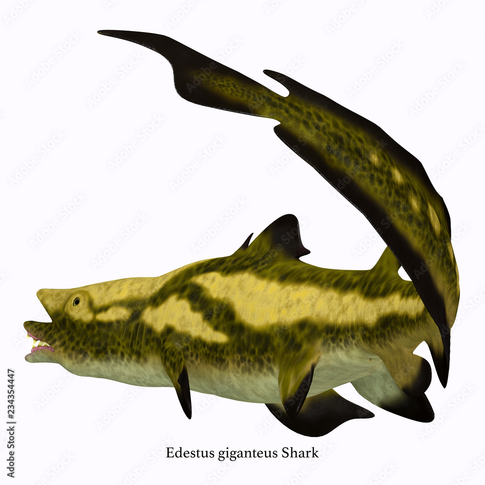 Primeval Future Shark