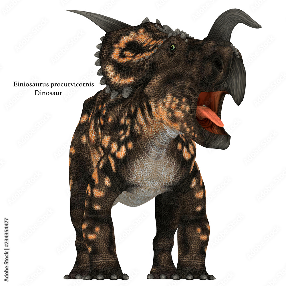 Einiosaurus Dinosaur on White with Font - Einiosaurus was a Ceratopsian ...
