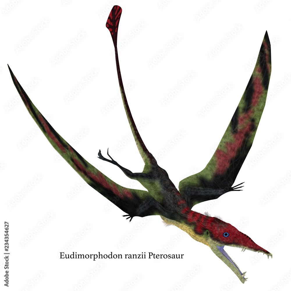 Eudimorphodon Pterosaur Diving with Font - Eudimorphodon was a ...