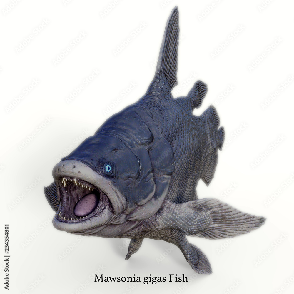 Mawsonia Fish on White with Font - Mawsonia was a extinct coelacanth ...