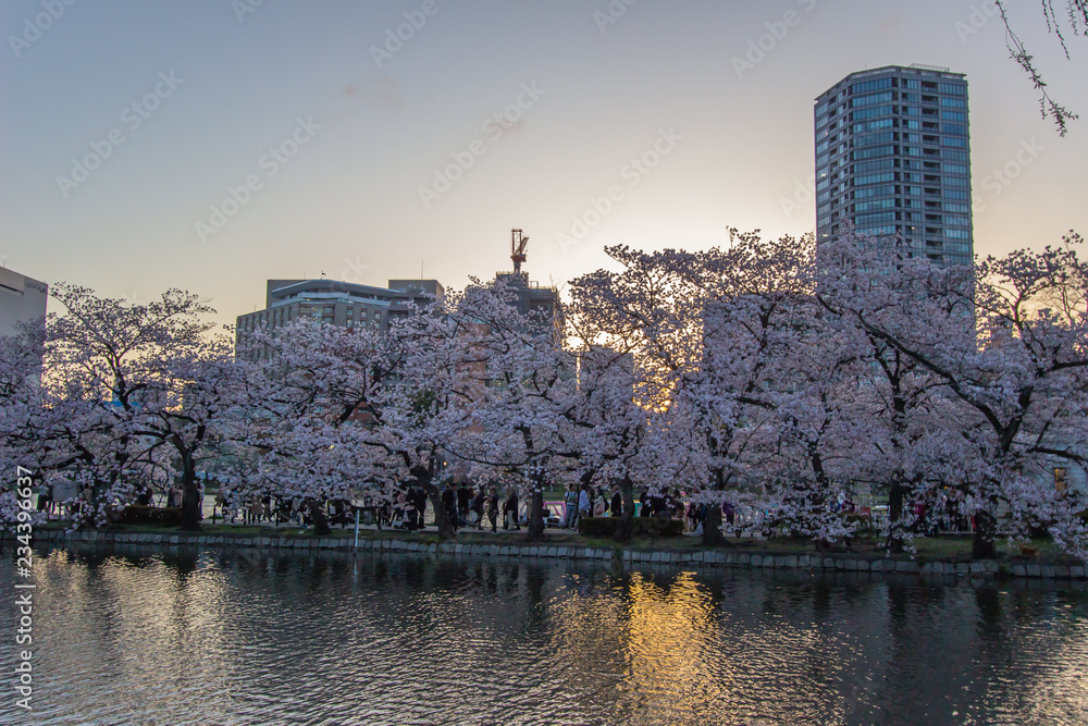 Ueno Sakura Matsuri (Cherry Blossom Festival) at Ueno Park(Ueno Koen ...