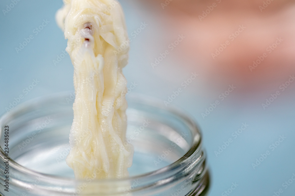 Tapeworm is a freshwater fish parasite under the microscope for ...