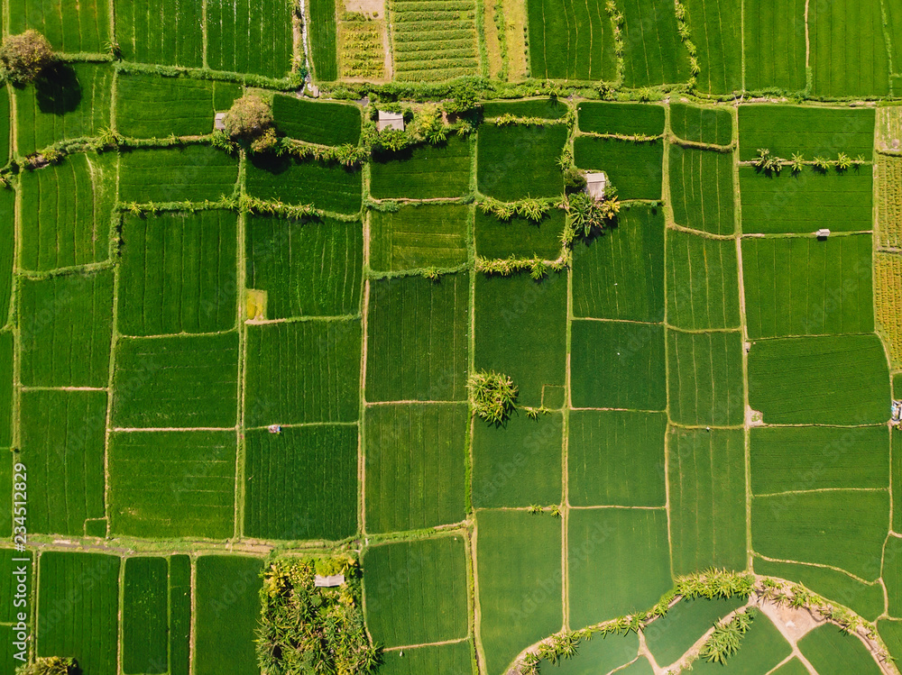 Aerial view of green rice fields. Natural texture in Bali island. 스톡 사진 ...