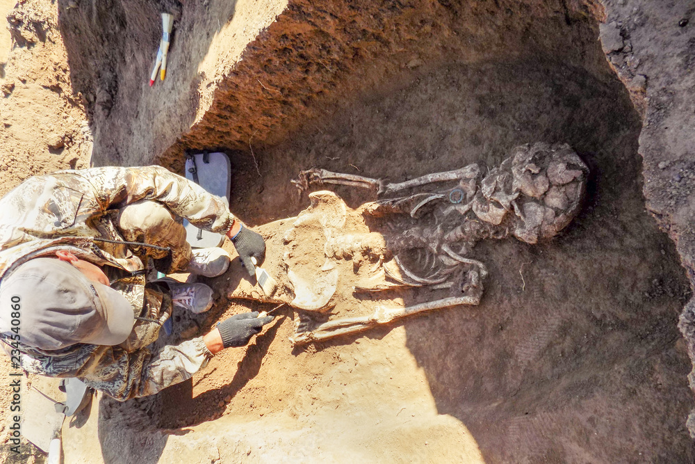 Archaeological excavations. archaeologist with tools conducts research ...