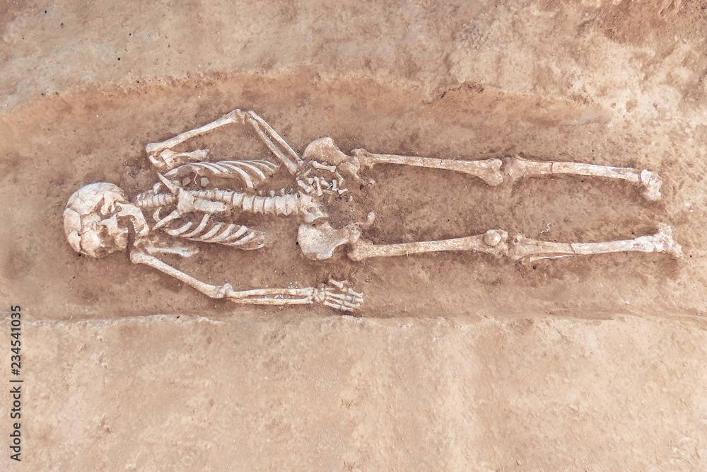 Archaeological excavations man and finds (bones of a skeleton in a ...