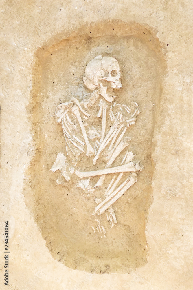 Archaeological excavations man and finds (bones of a skeleton in a ...