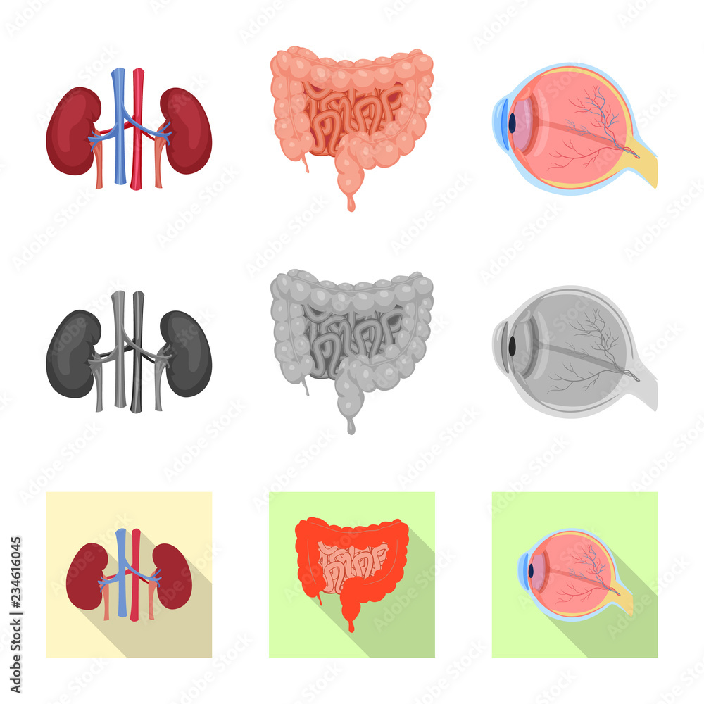 Vector illustration of body and human symbol. Collection of body and ...