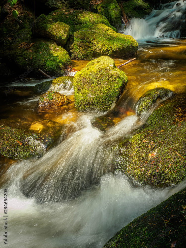 Spring in the Ysperklamm in Yspertal Lower Austria Stock Photo | Adobe ...