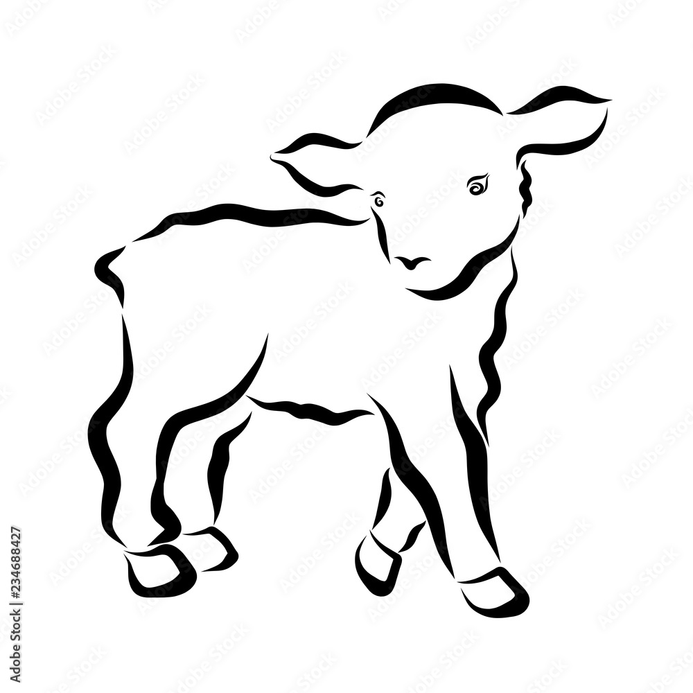 Walking little lamb with wavy hair, black outline Stock Illustration ...