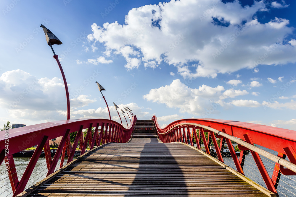 Poster Python Bridge in Amsterdam, Netherlands – Wall Art | UkPosters